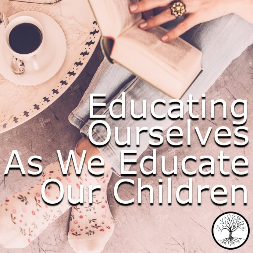 Educating Ourselves as We Educate Our Children, Audio Workshop - Well ...
