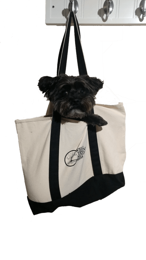 The Well-Prepared Student: How to Get Ready for the High School Years ...